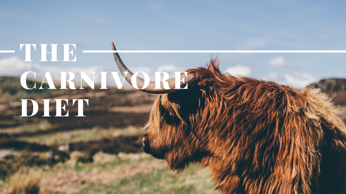 The Carnivore Diaries – Clean Coach Carly
